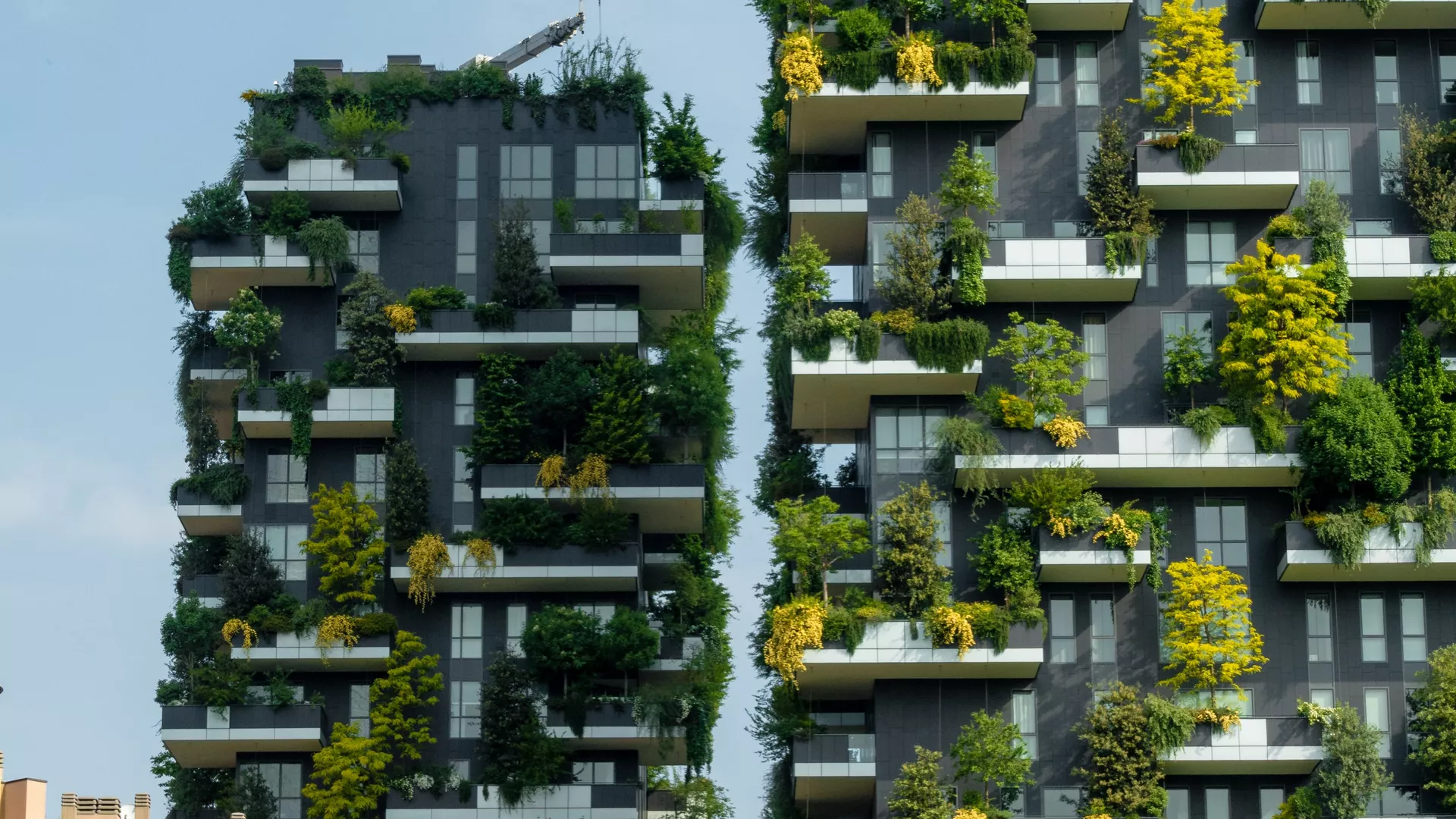 Frontiers | Editorial: Governing hybrid urban infrastructure—The co-production of decentralized ...